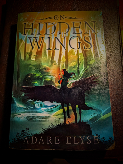 Book Review; On Hidden Wings – nikki diekemper